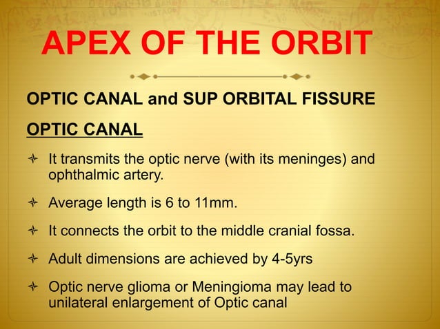 Anatomy OF ORBIT | PPTX | Ear, Nose and Throat Conditions | Diseases ...
