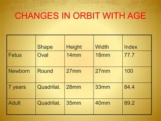 Anatomy OF ORBIT | PPTX