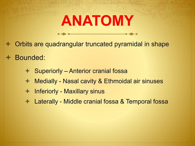 Anatomy OF ORBIT | PPTX | Ear, Nose and Throat Conditions | Diseases ...