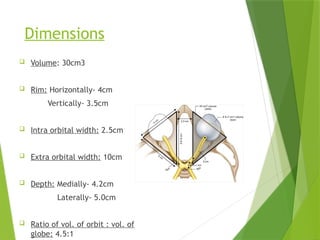 ANATOMY OF ORBIT AND RELATED CLINICAL POINT.pptx