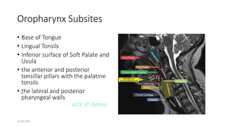 Anatomy & Lymphatic Drainage of Oropharynx.pptx
