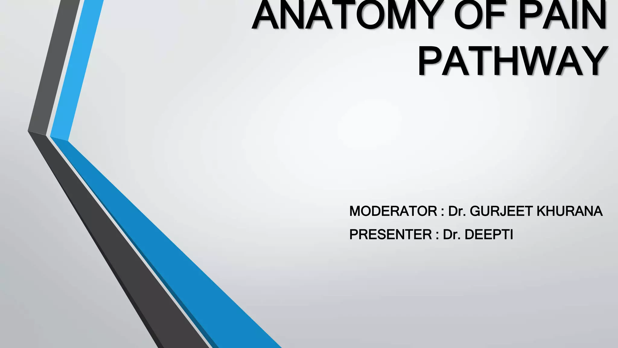 Anatomy of pain | PPTX