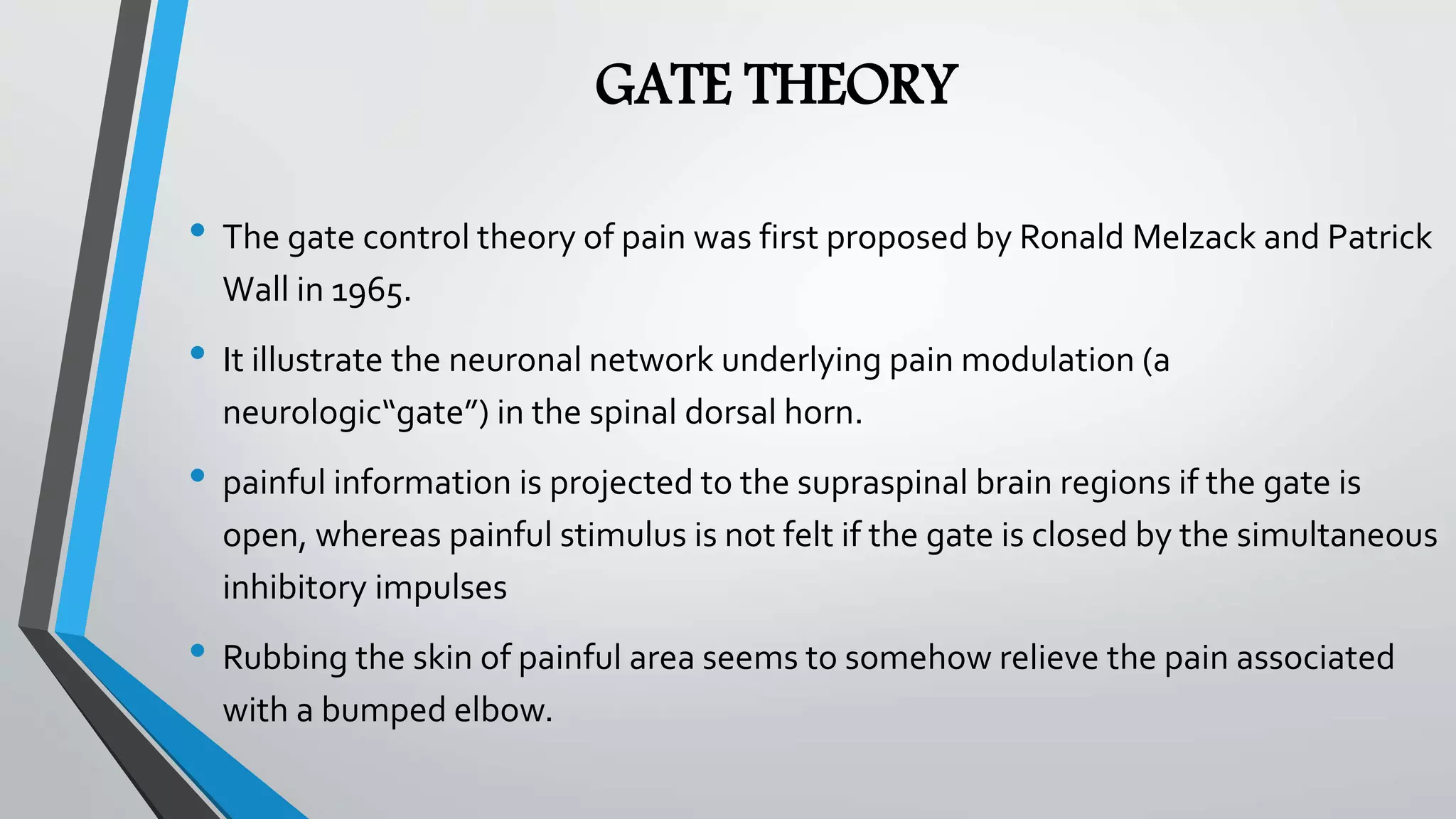 Anatomy of pain | PPTX