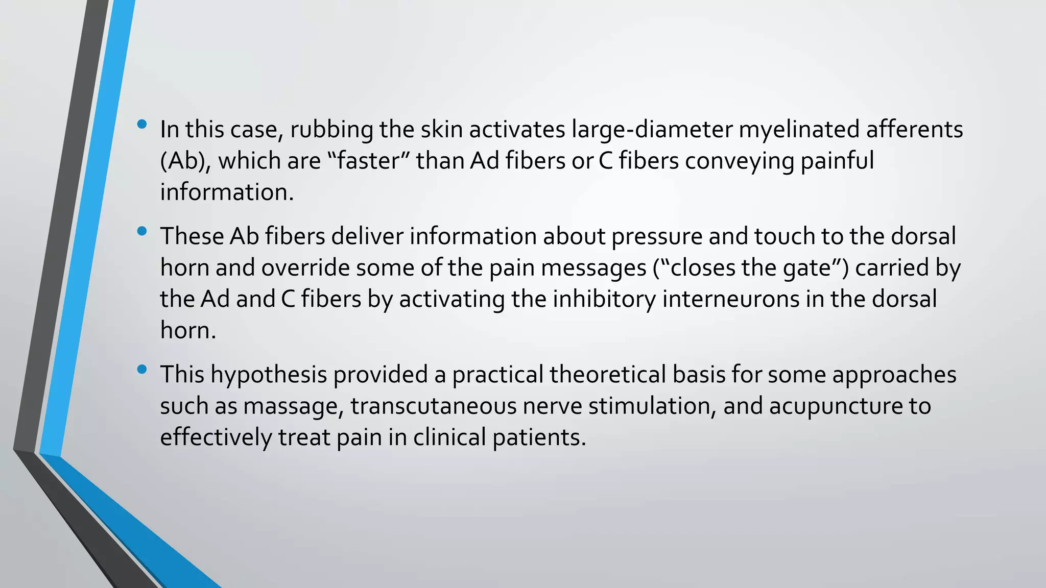 Anatomy of pain | PPTX