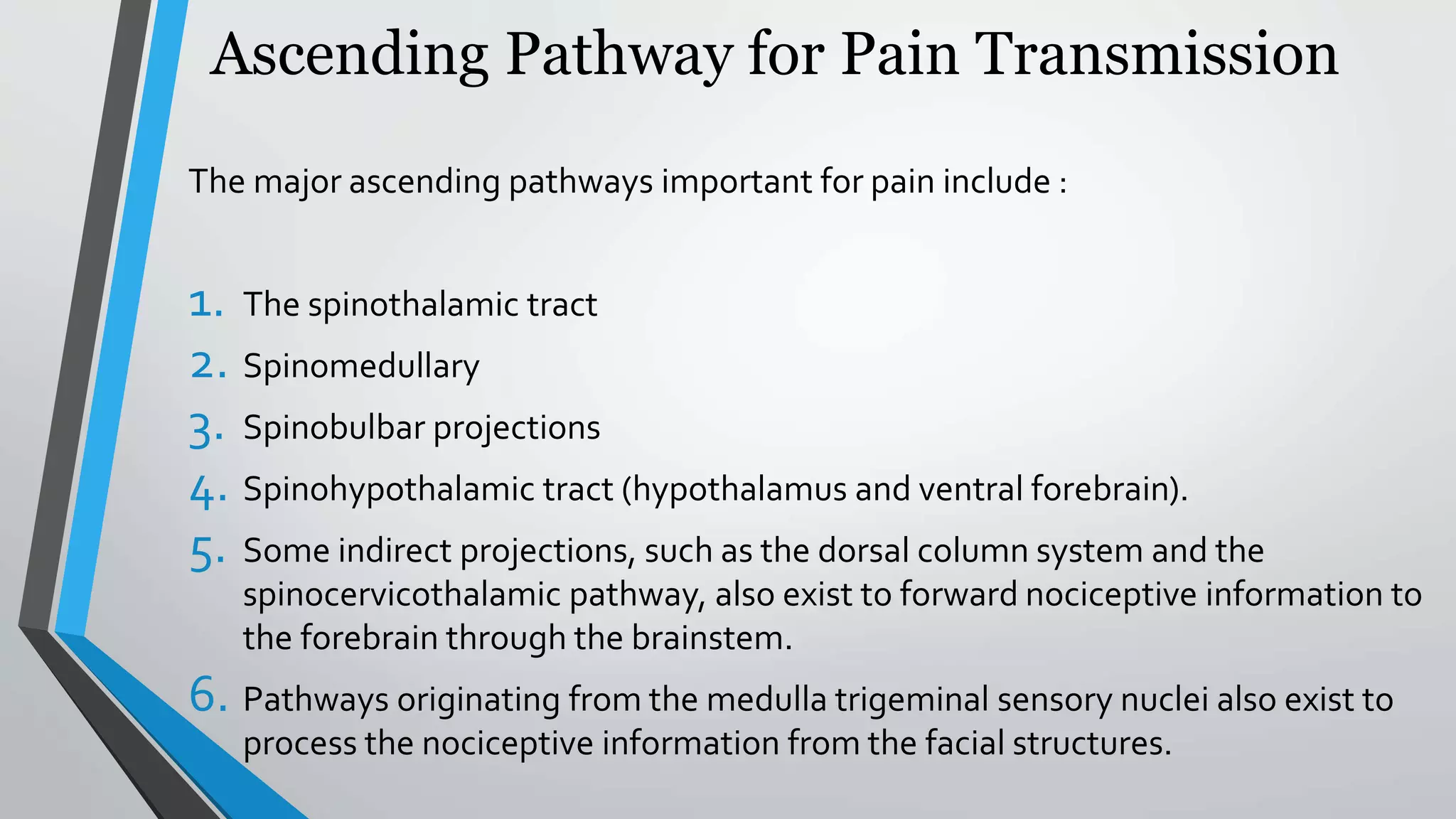 Anatomy of pain | PPTX