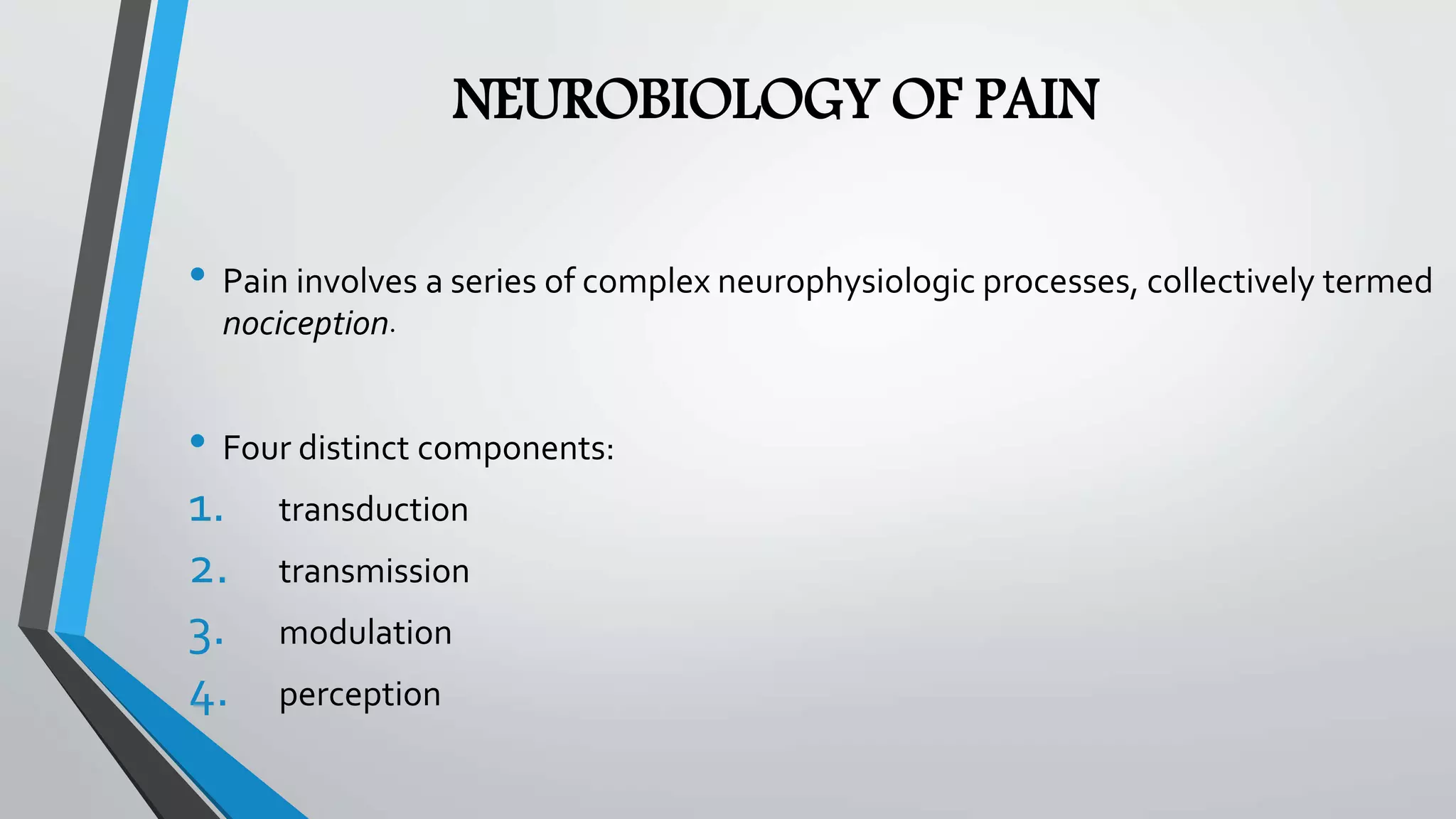 Anatomy of pain | PPTX