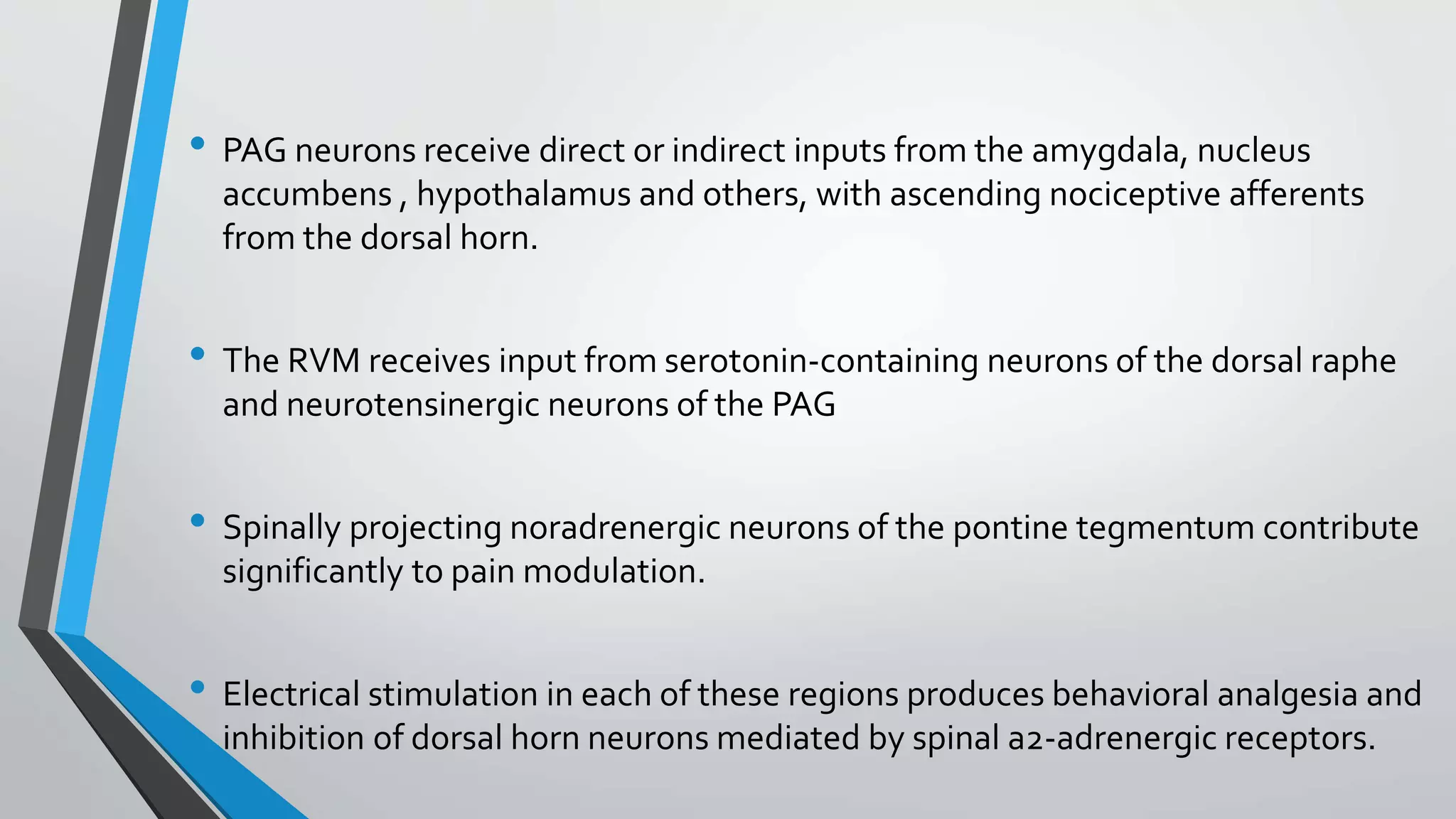Anatomy of pain | PPTX