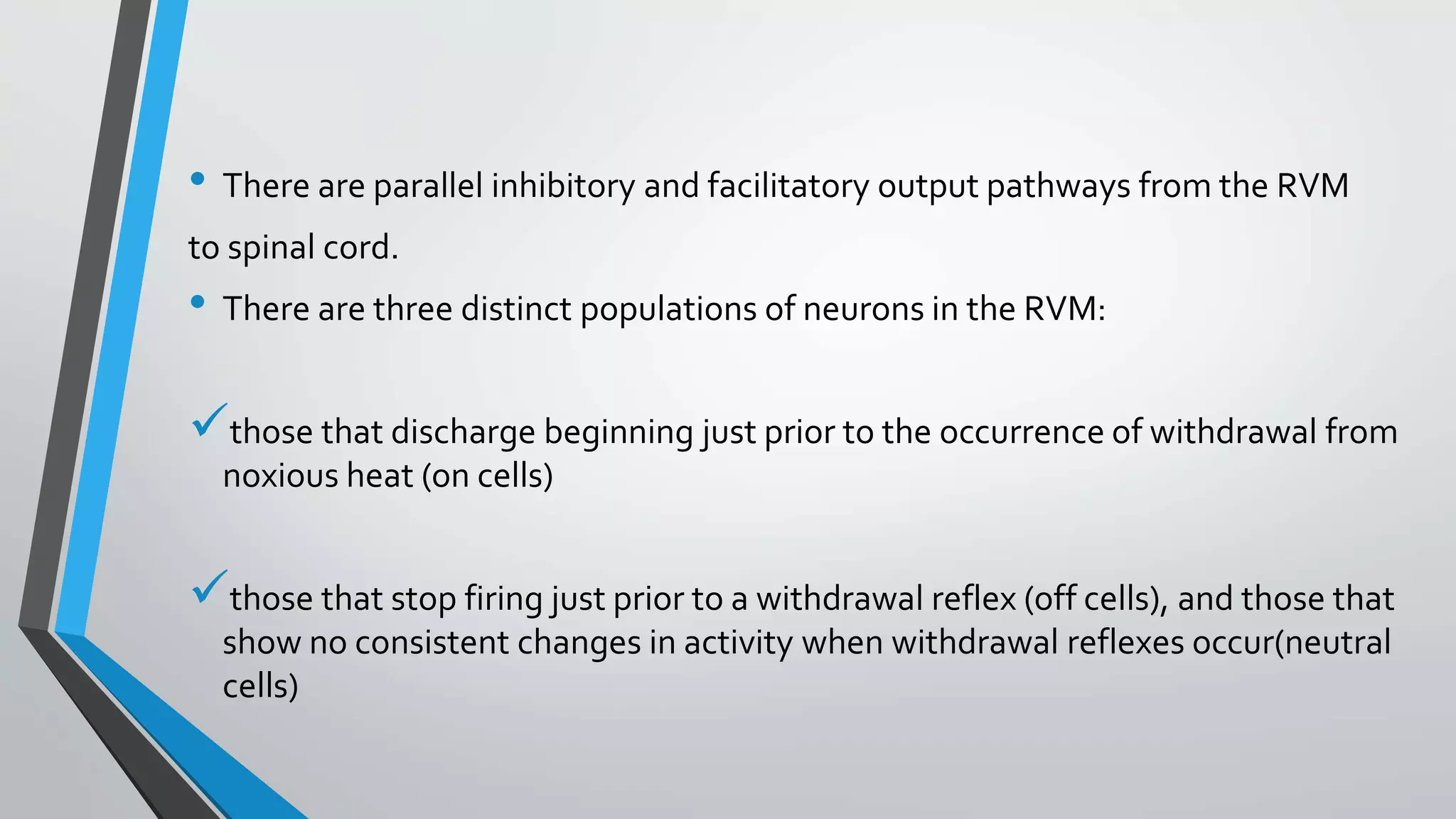 Anatomy of pain | PPTX