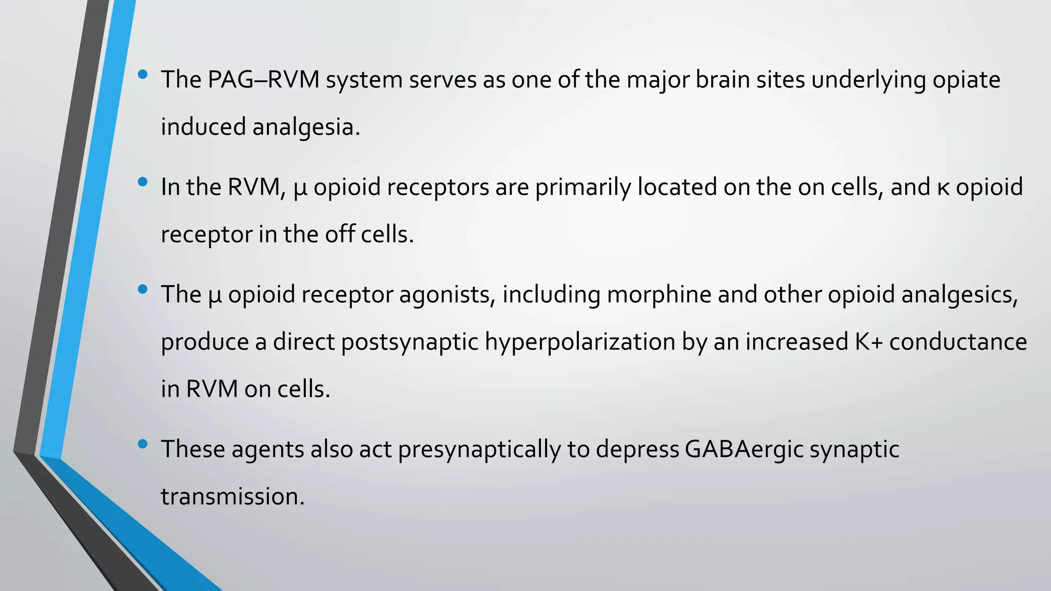Anatomy of pain | PPTX