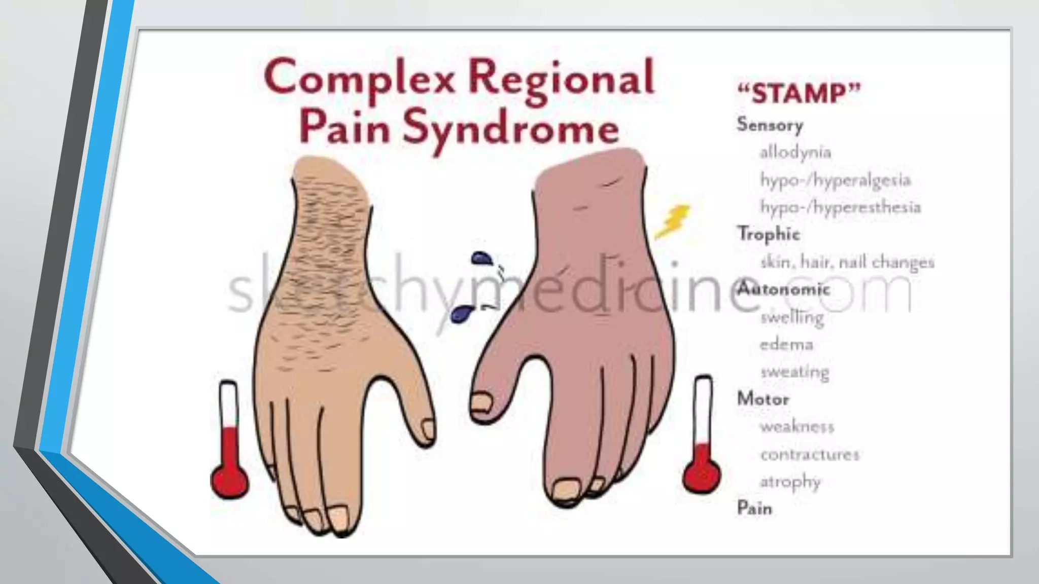 Anatomy of pain | PPTX | Brain and Nervous System Disorders | Diseases ...