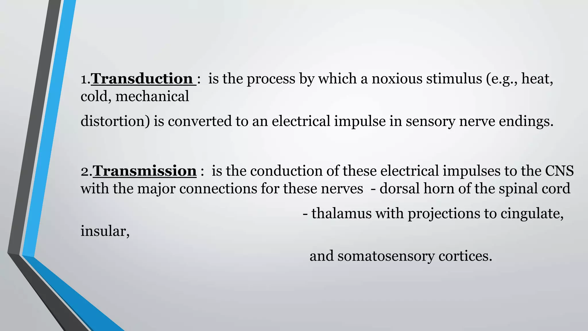 Anatomy of pain | PPTX