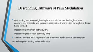 Anatomy of pain | PPTX