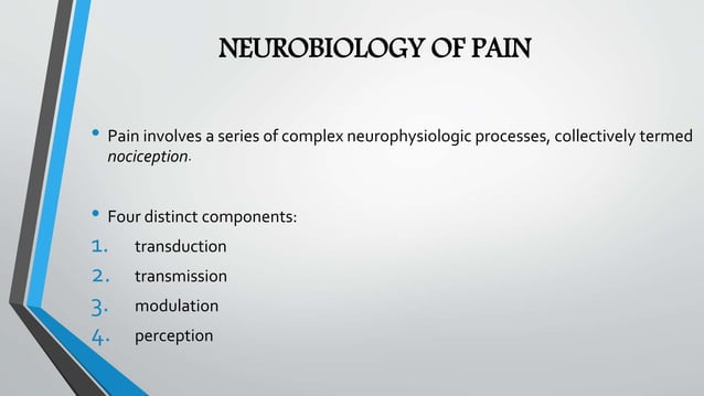 Anatomy of pain | PPTX | Brain and Nervous System Disorders | Diseases ...