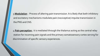 Anatomy of pain | PPTX