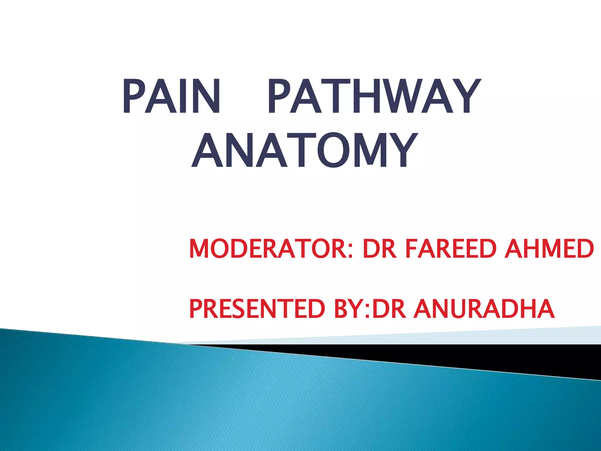 Anatomy of pain pathway | PPTX