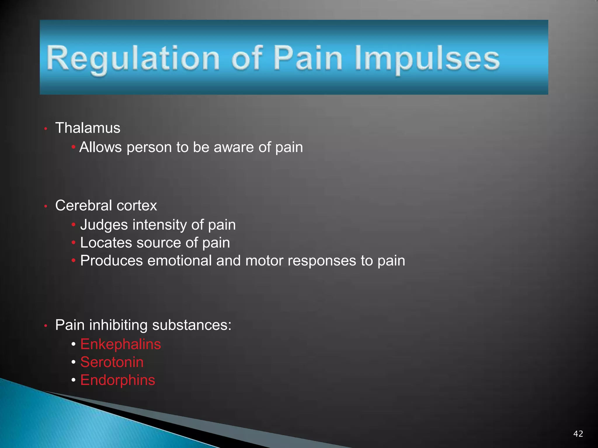 Anatomy of pain pathway | PPTX