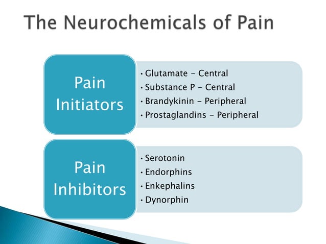 Anatomy of pain pathway | PPTX | Brain and Nervous System Disorders ...