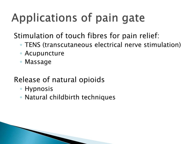 Anatomy of pain pathway
