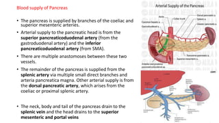 Radiological Anatomy of pancreas | PPT