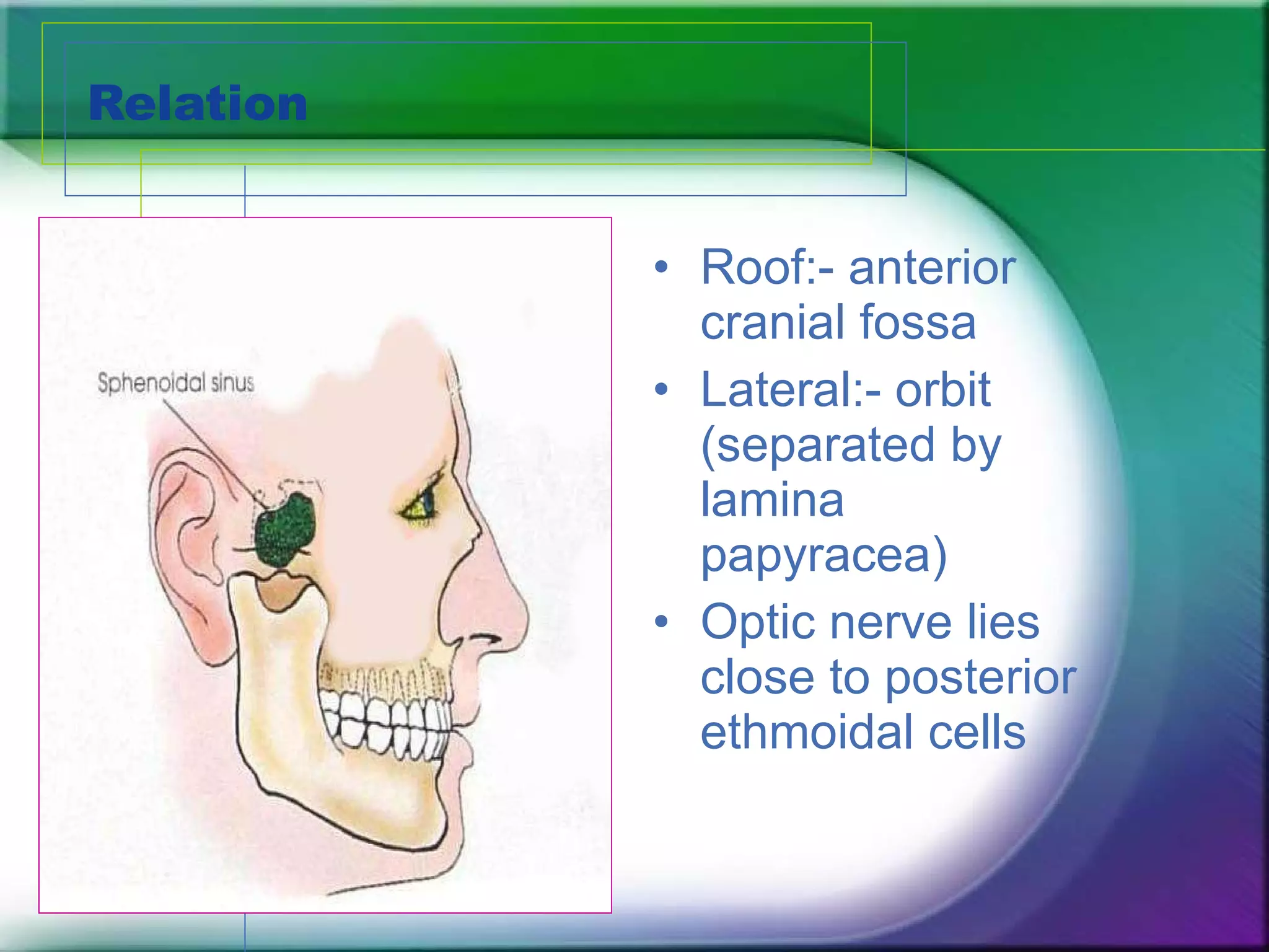 Anatomy Of Paranasal Sinuses | PPT