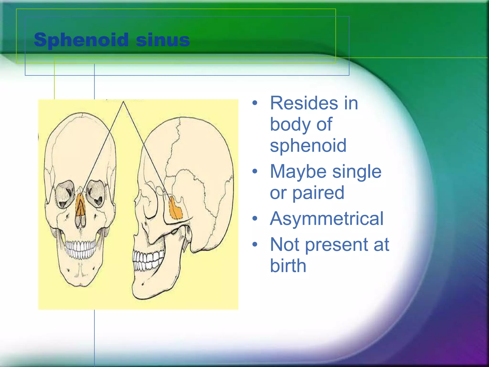 Anatomy Of Paranasal Sinuses | PPT