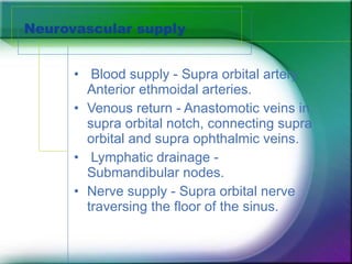 Anatomy Of Paranasal Sinuses | PPT