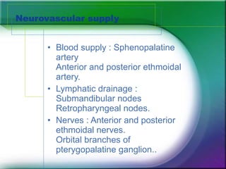Anatomy Of Paranasal Sinuses | PPT
