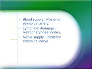 Anatomy Of Paranasal Sinuses | PPT