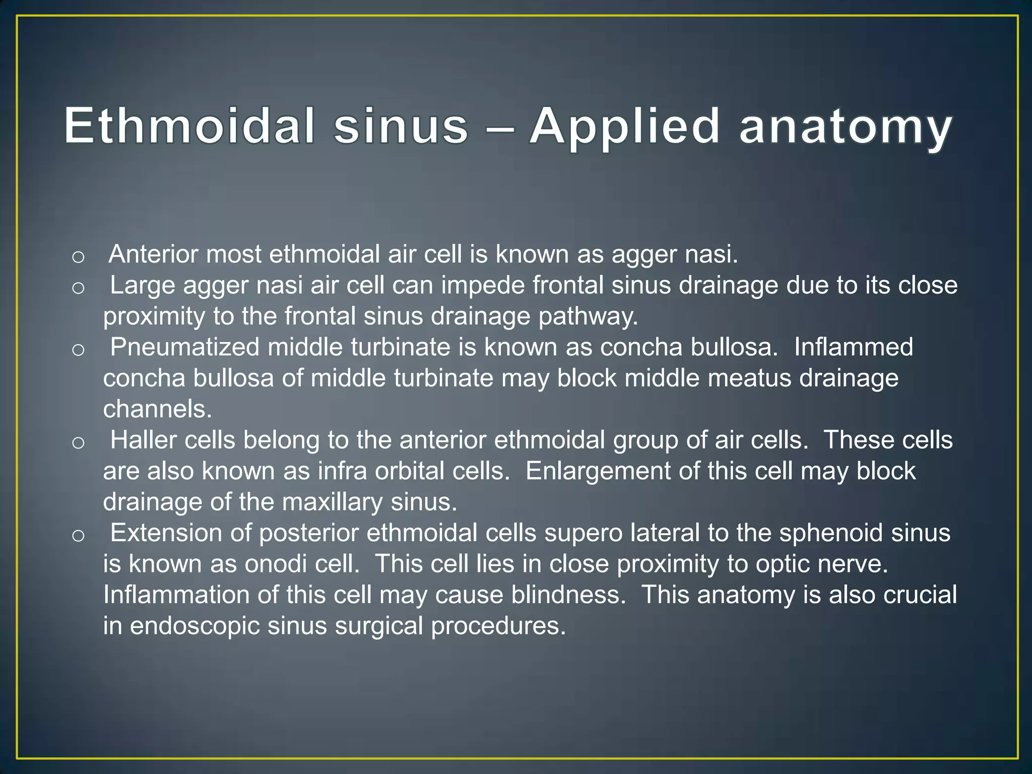 anatomyofparanasalsinuses-100511005544-phpapp01.pdf