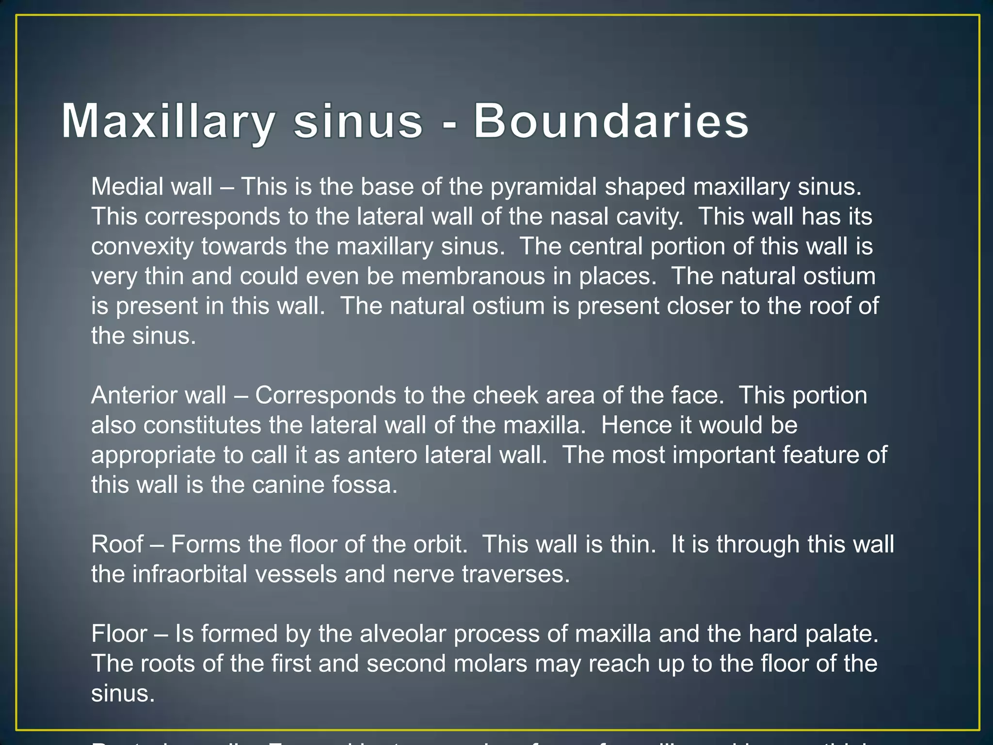 Anatomy of para nasal sinuses | PPTX