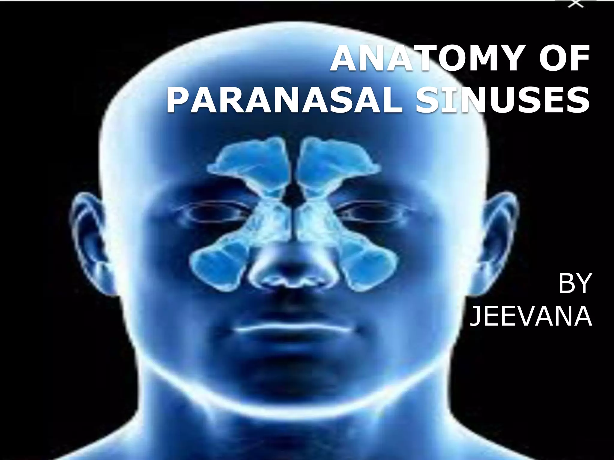 Anatomy of paranasal sinuses | PPT