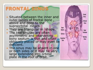 Anatomy of paranasal sinuses | PPT