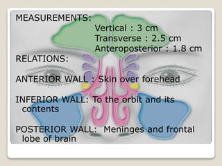 Anatomy of paranasal sinuses | PPT