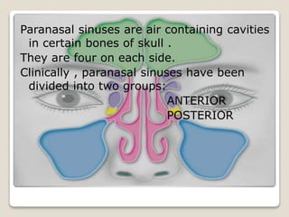 Anatomy of paranasal sinuses | PPT