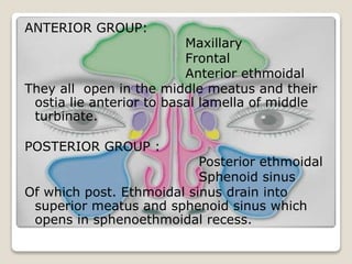 Anatomy of paranasal sinuses | PPT