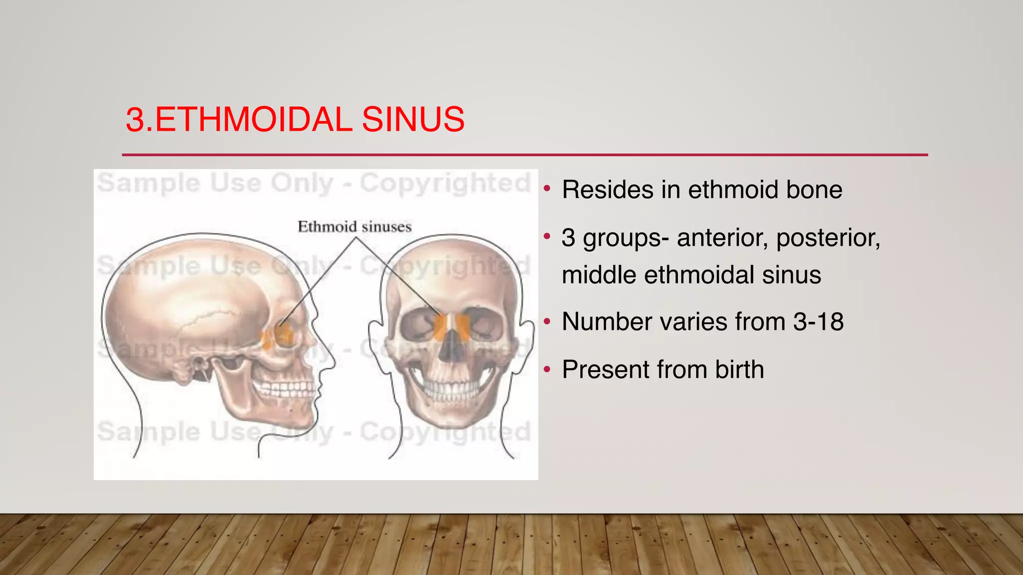 Anatomy of paranasal sinuses | PDF
