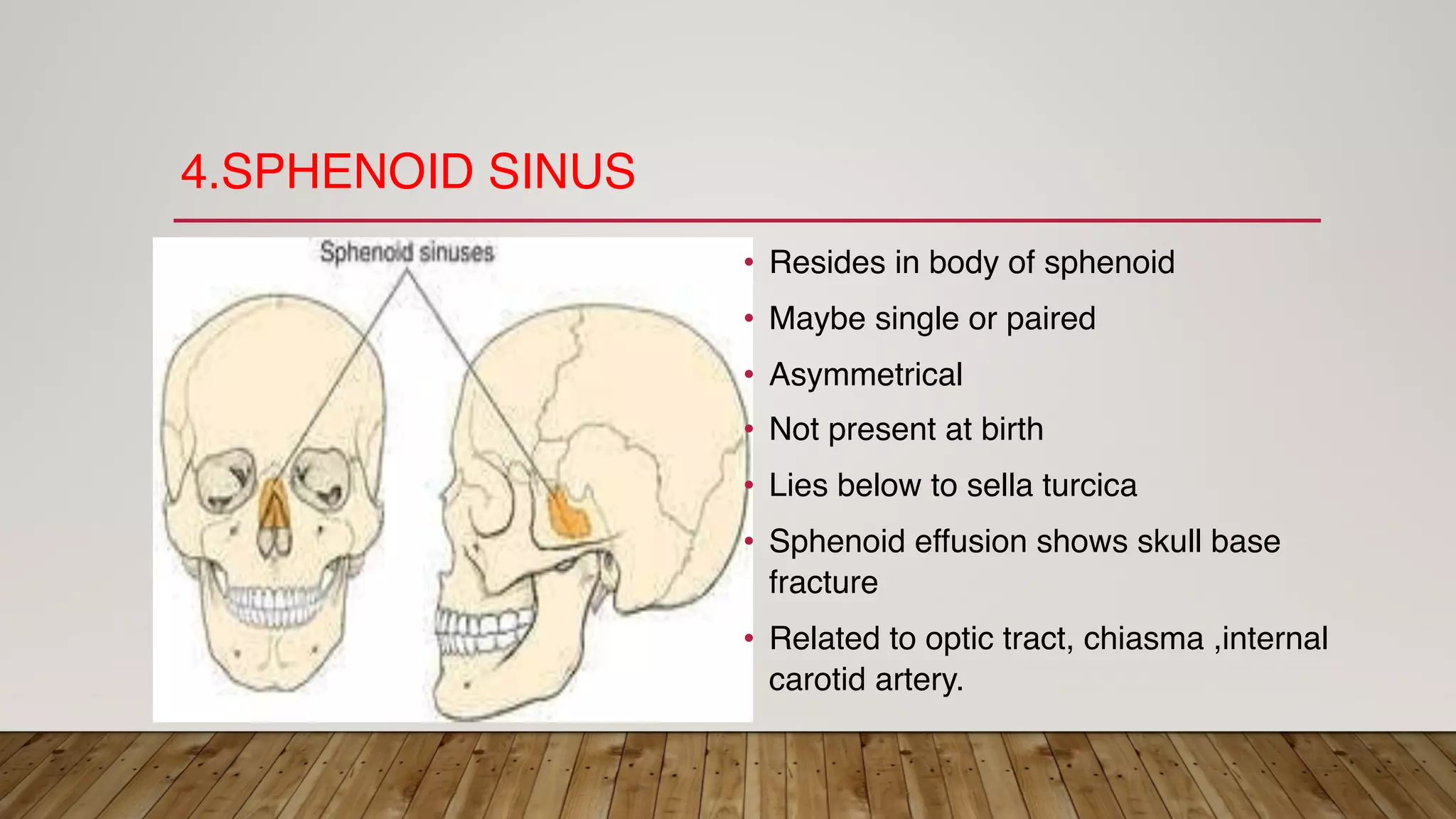 Anatomy of paranasal sinuses | PDF