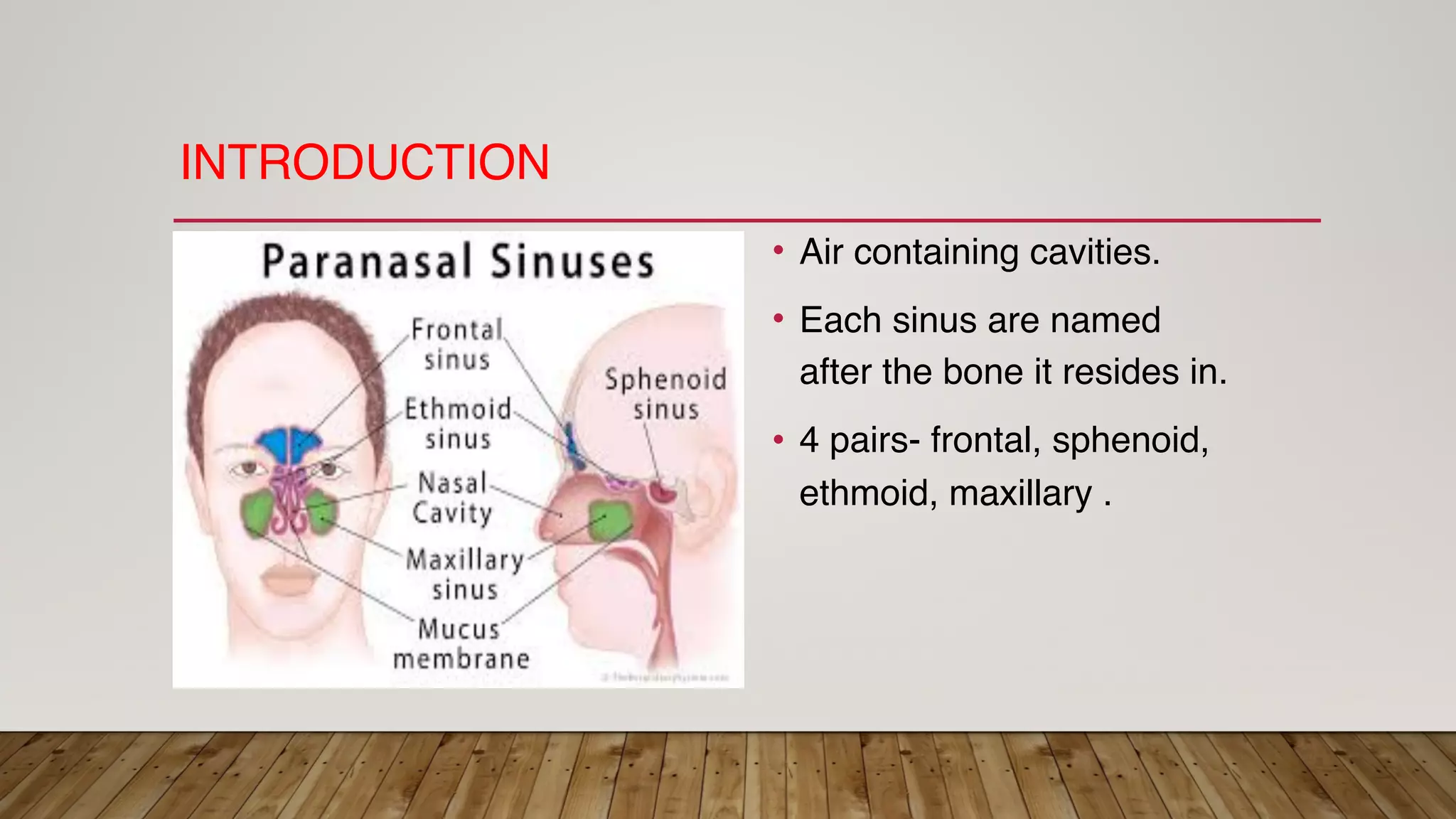 Anatomy of paranasal sinuses | PDF