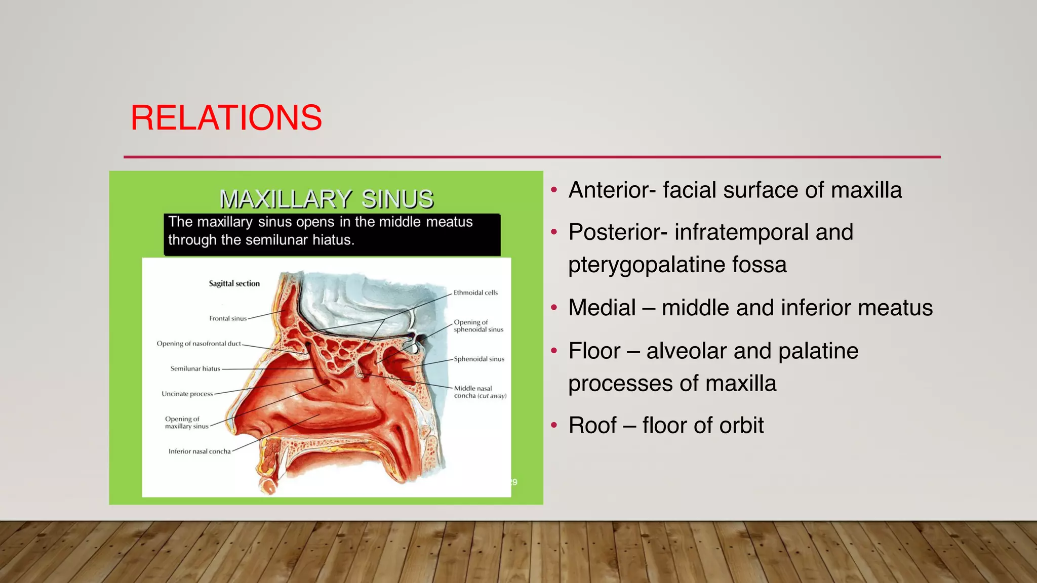 Anatomy of paranasal sinuses | PDF