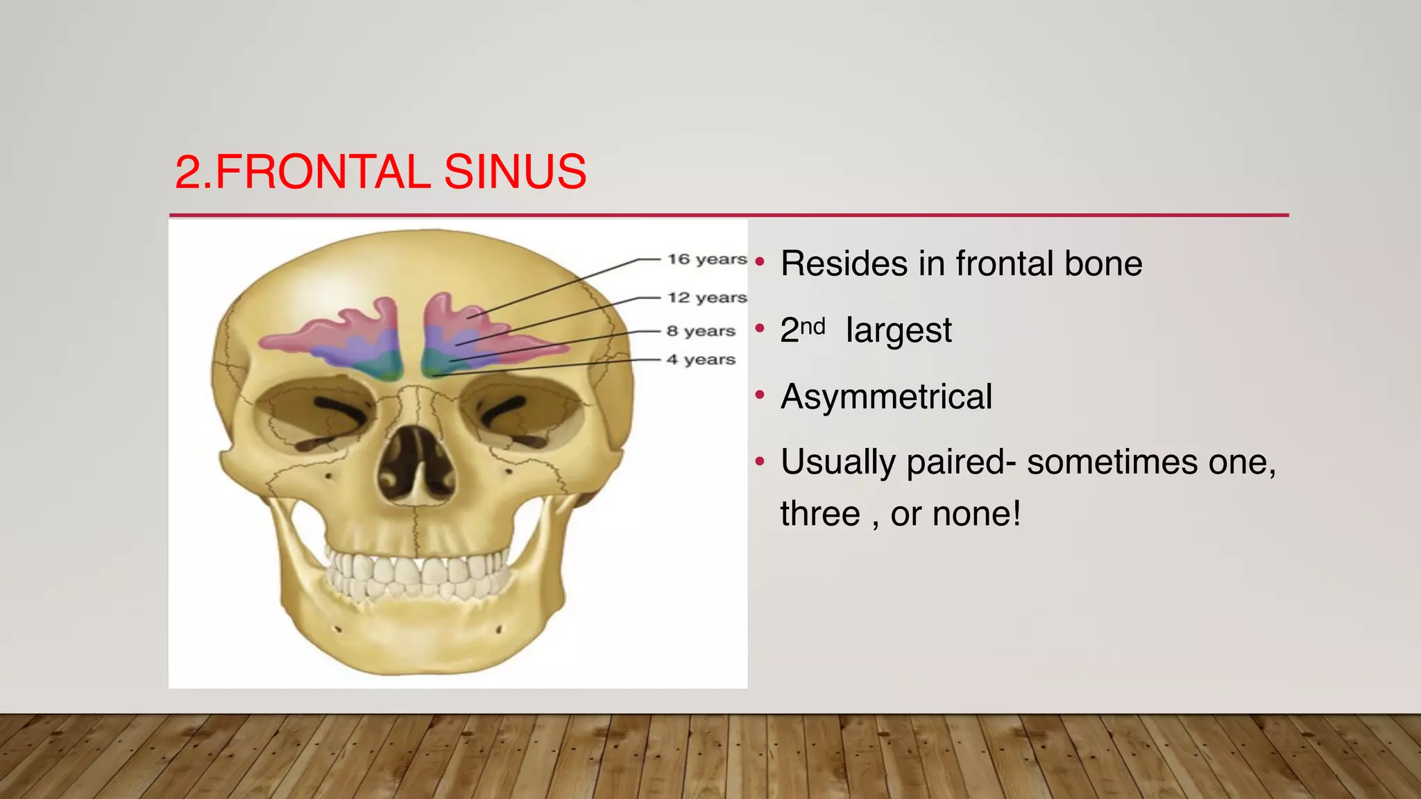 Anatomy of paranasal sinuses | PDF