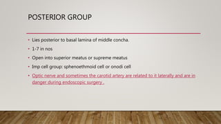 anatomy of paranasal sinuses.pptx