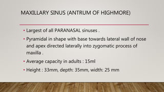 anatomy of paranasal sinuses.pptx