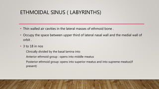 anatomy of paranasal sinuses.pptx