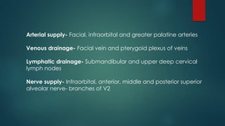 Surgical Anatomy of Paranasal Sinuses.pptx