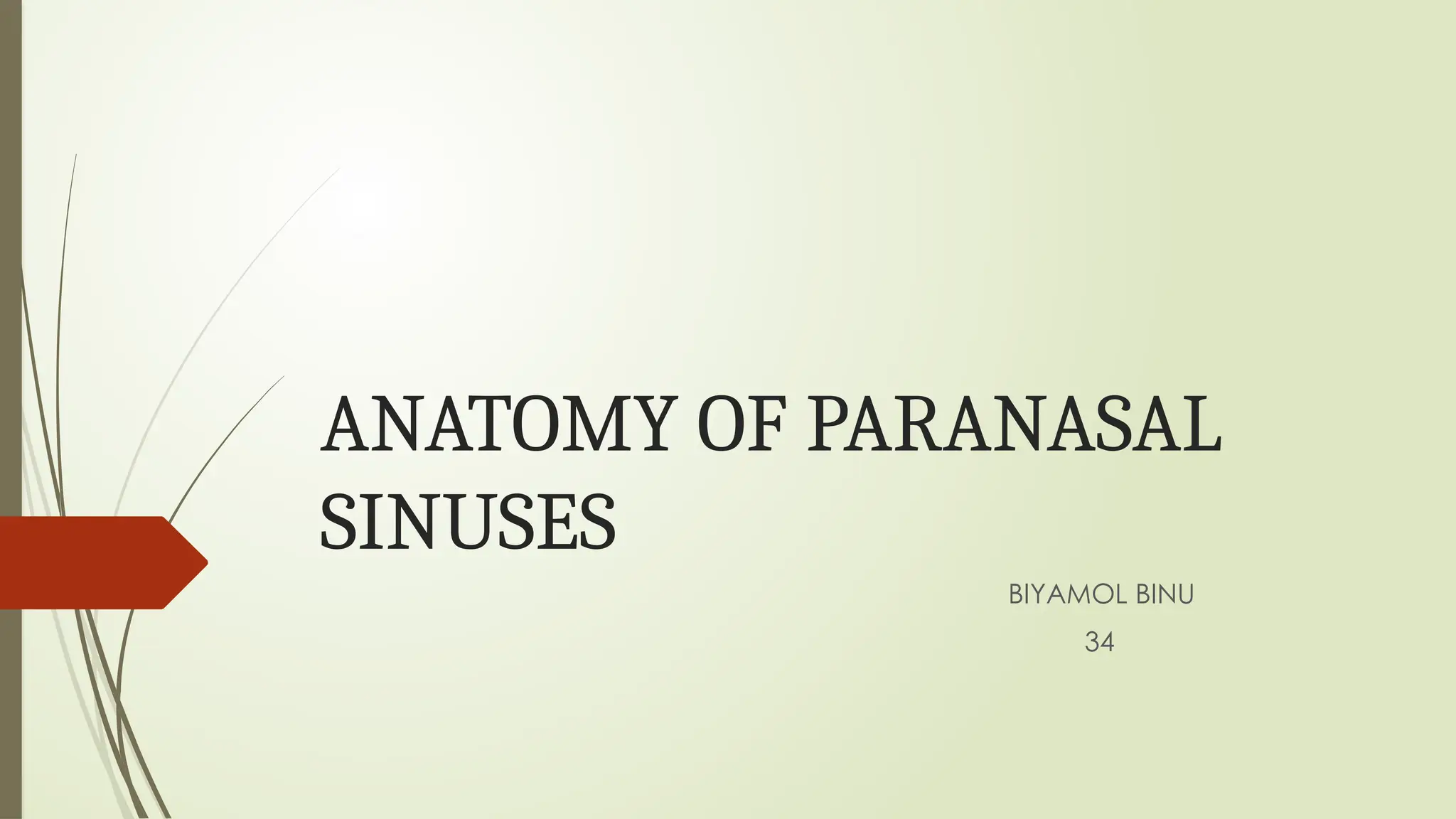 ANATOMY OF PARANASAL SINUSES.pptx mbbs ent | PPTX