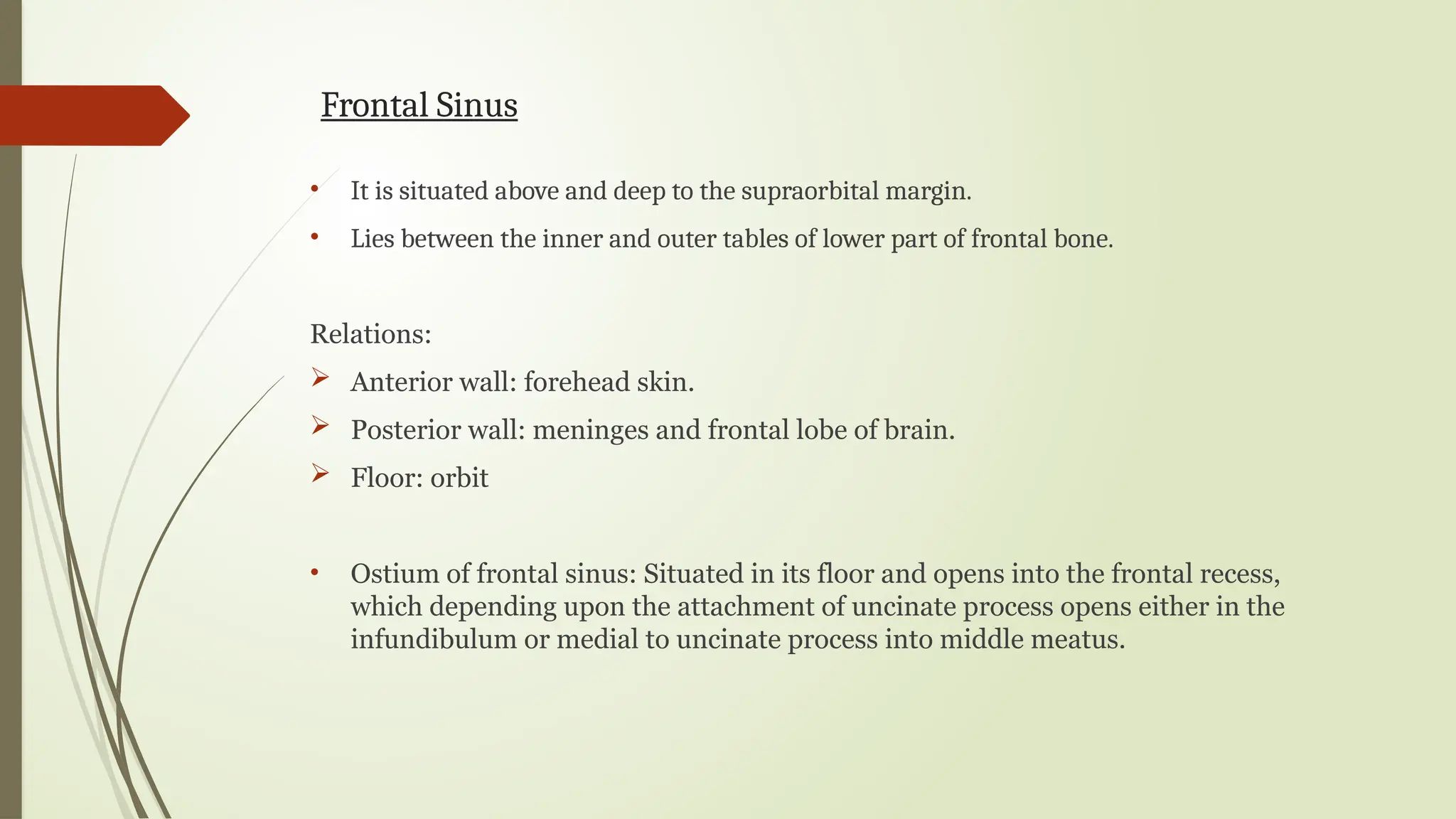 ANATOMY OF PARANASAL SINUSES.pptx mbbs ent | PPTX