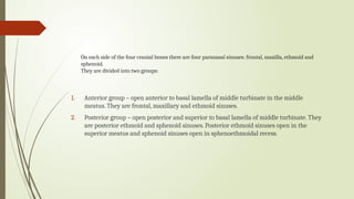 ANATOMY OF PARANASAL SINUSES.pptx mbbs ent | PPTX