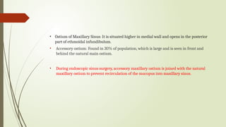 ANATOMY OF PARANASAL SINUSES.pptx mbbs ent | PPTX