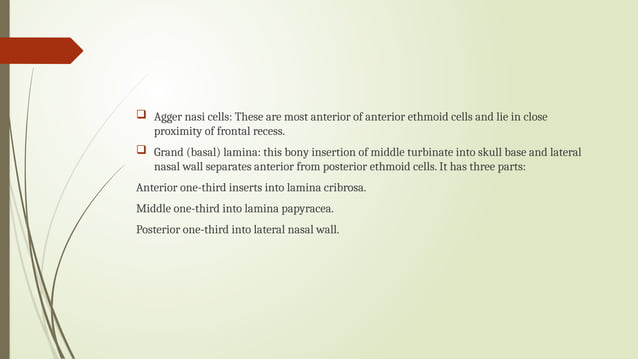 ANATOMY OF PARANASAL SINUSES.pptx mbbs ent | PPTX