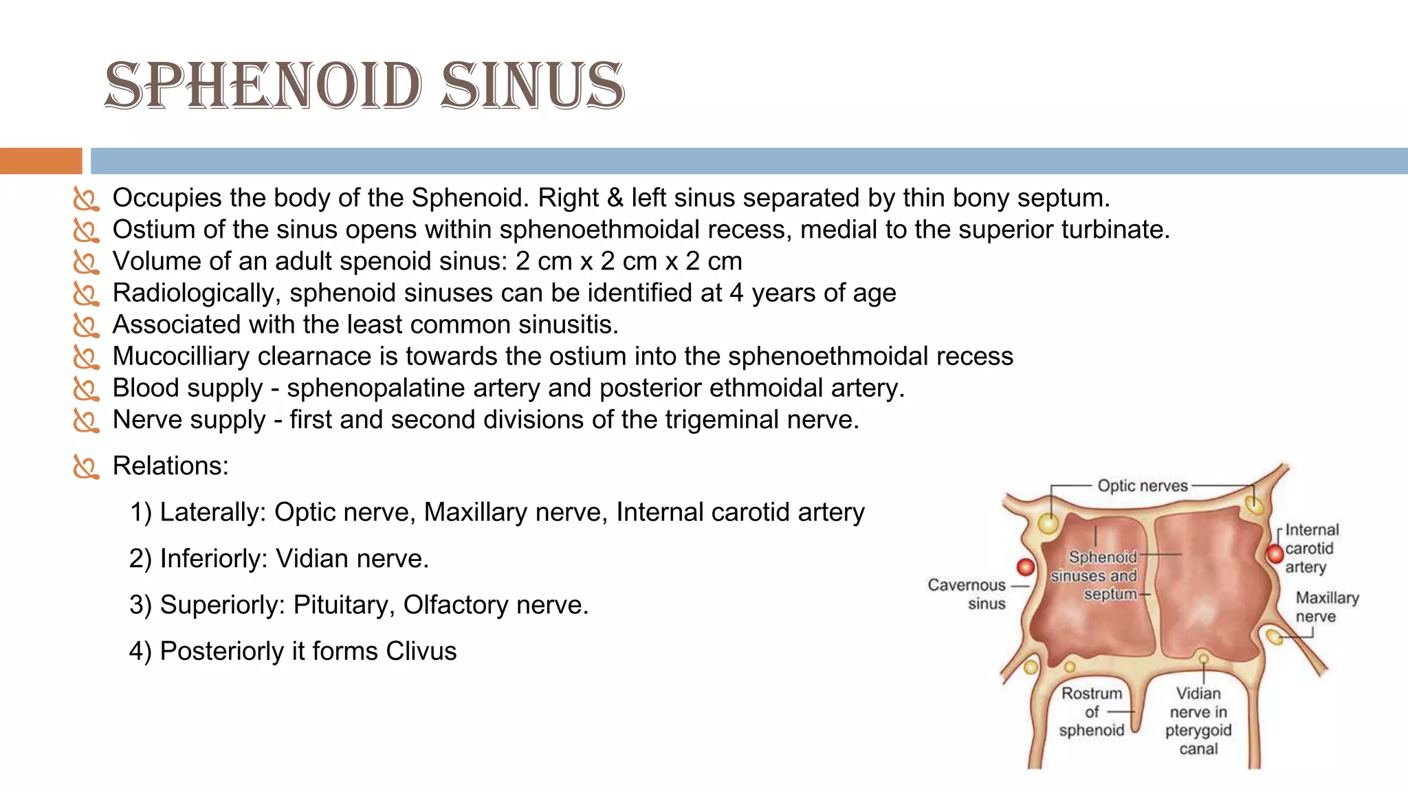 Anatomy of Paranasal Sinuses | PPTX